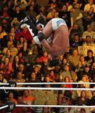 Viewing XIX-The Miz-XIX's profile | Profiles v2 | Gaia Online